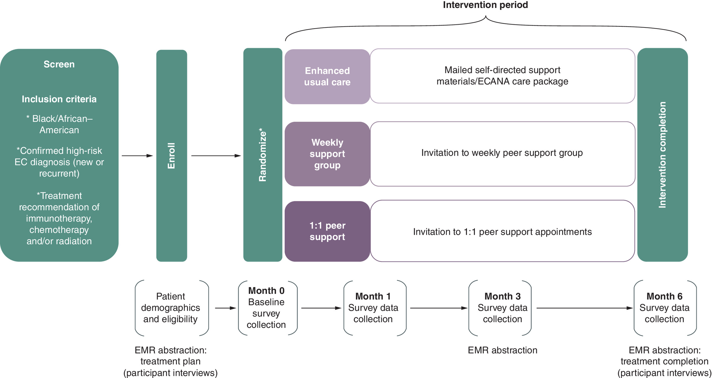Study Protocol for the Social Interventions for Support During ...