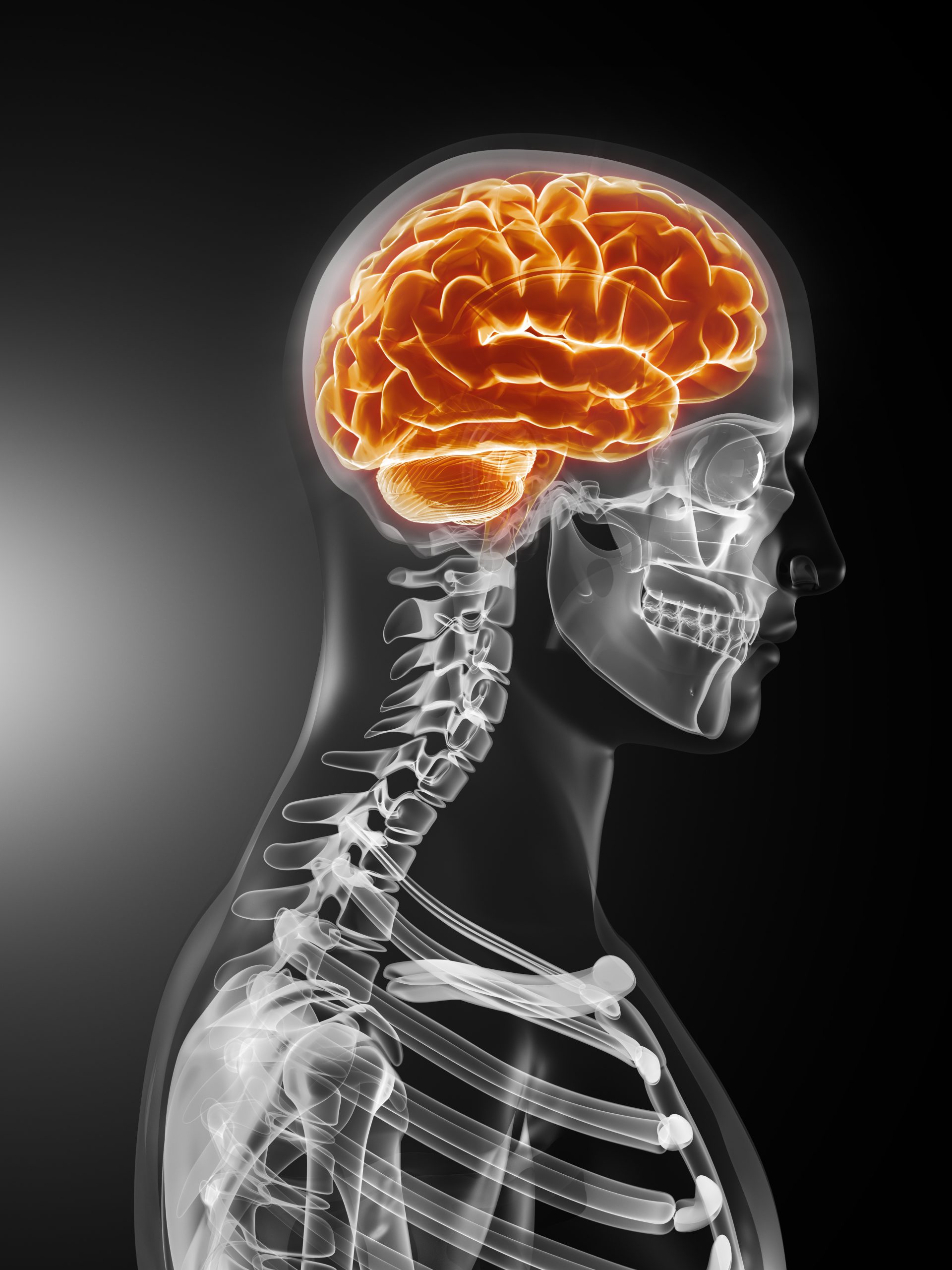 Is cognitive reserve accumulation associated with reduced dementia risk ...
