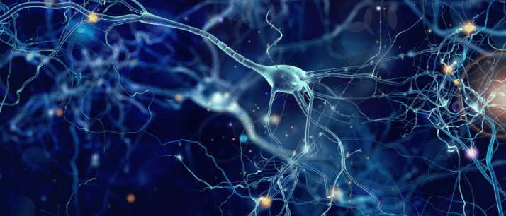 Fast-tracked app to help providers remotely monitor individuals with ...